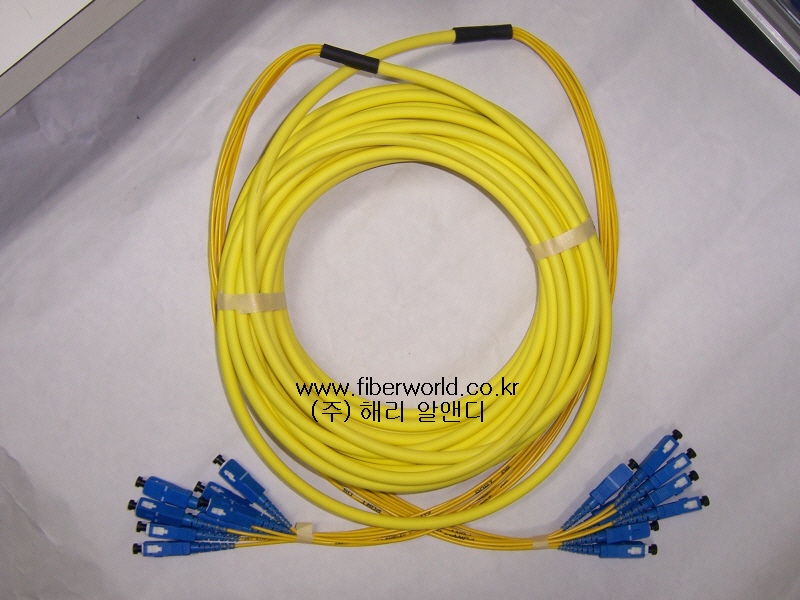 FIBER WORLD